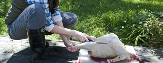 Field Dressing Bird Game – ghilliesuitshop